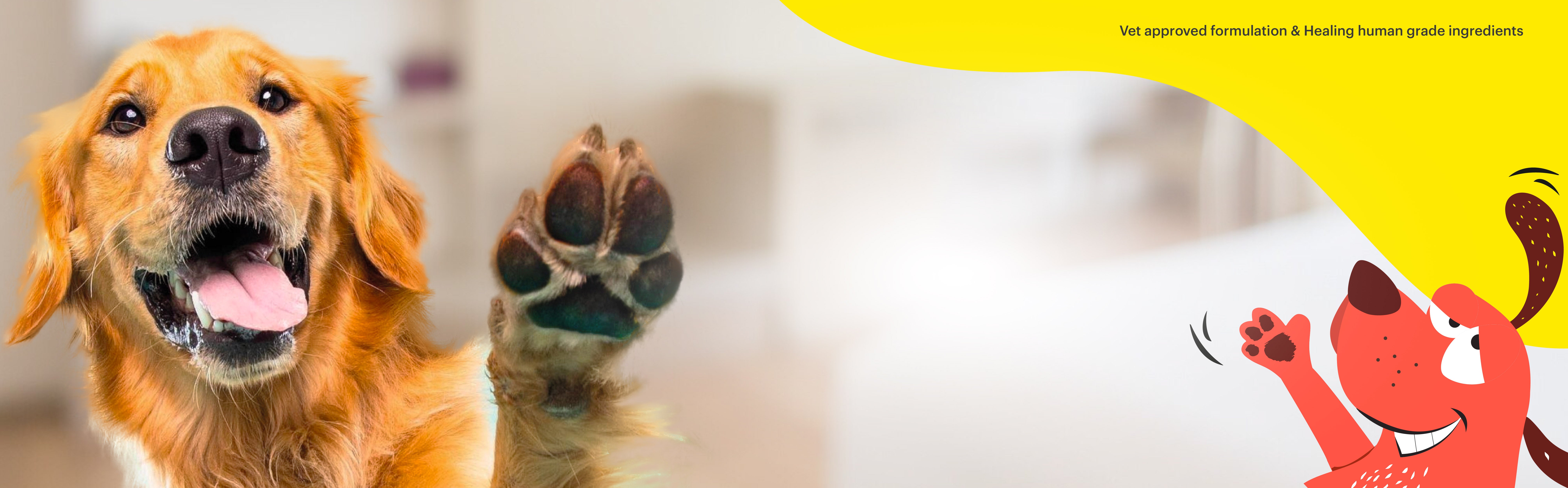 Paw Butter For Pets