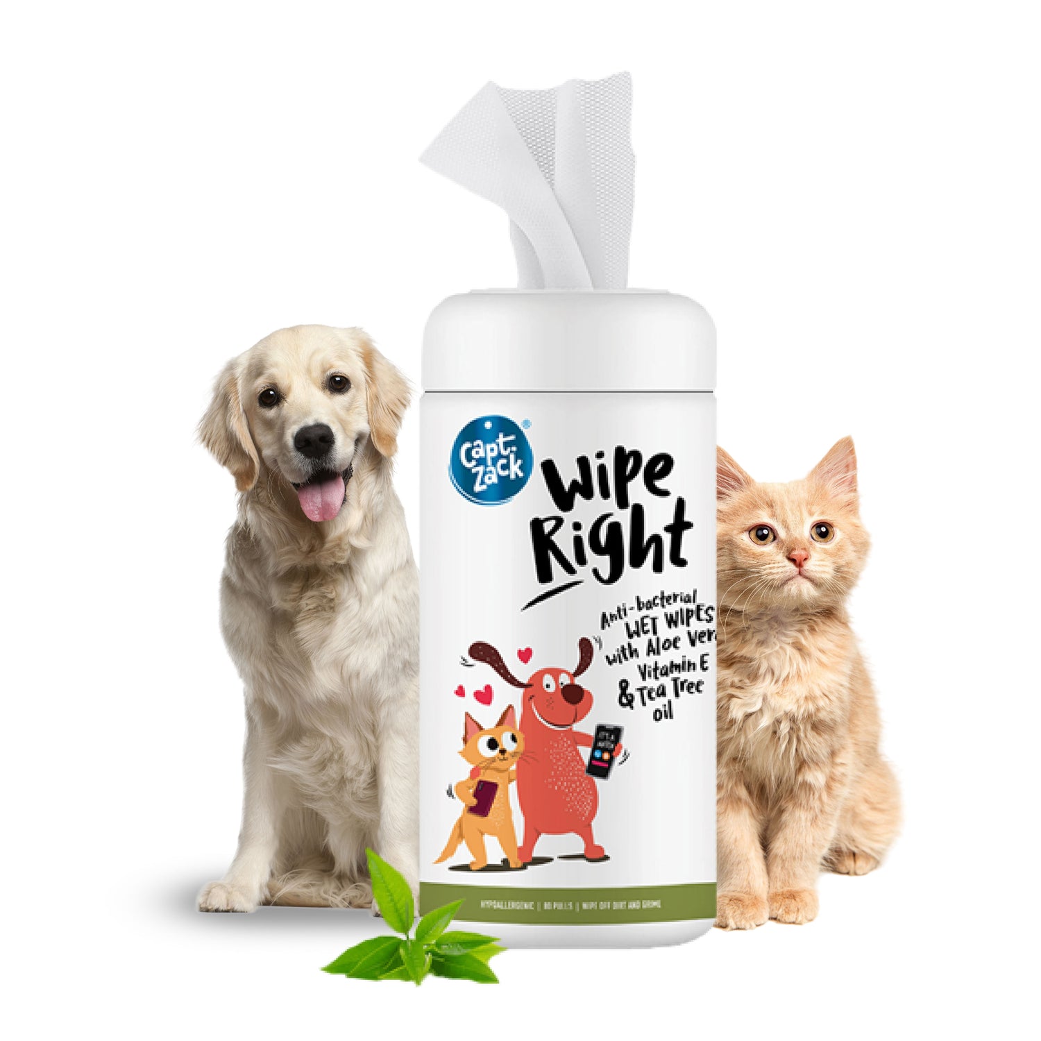 Wipe Right Pet Wipes | Anti-Bacterial Grooming Wipes for Dogs & Cats