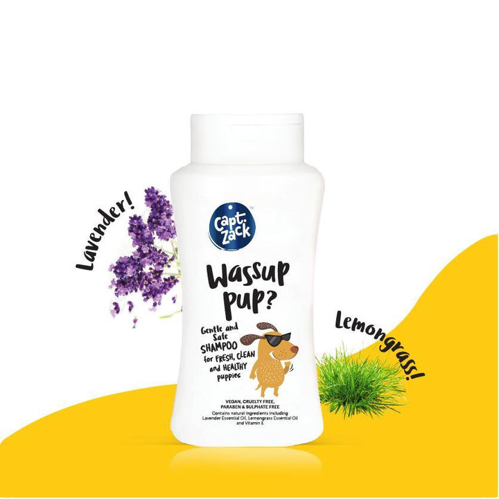 Best and Safe Puppy Products | Captain Zack